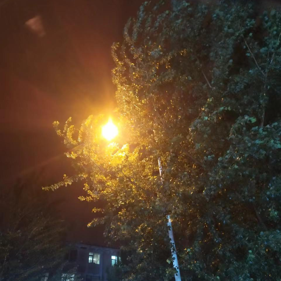同学大本营 