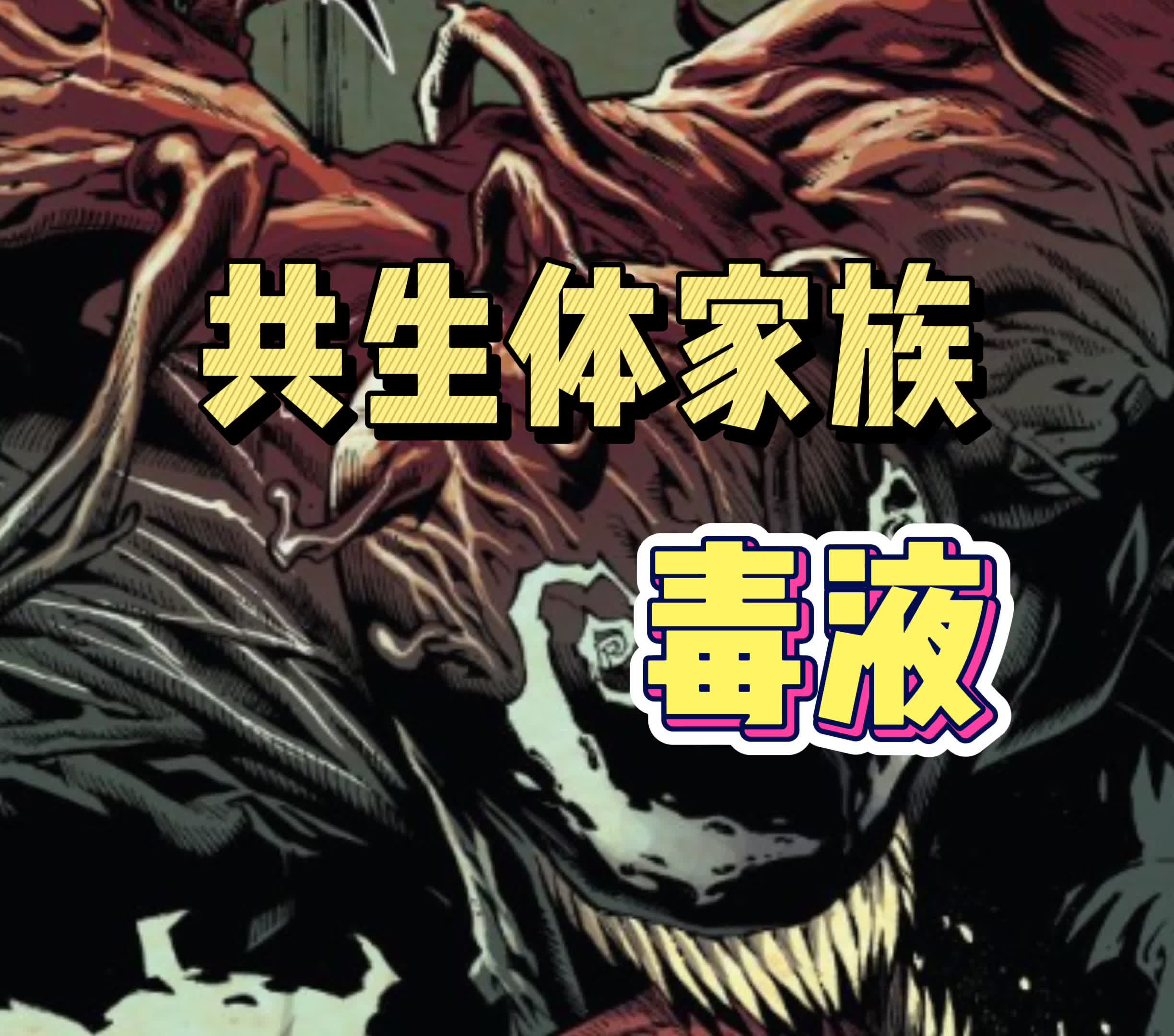 一分钟美漫科普,共生体家族,毒液