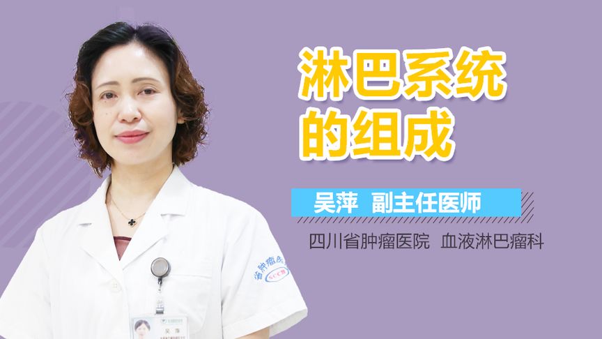 淋巴系统的组成