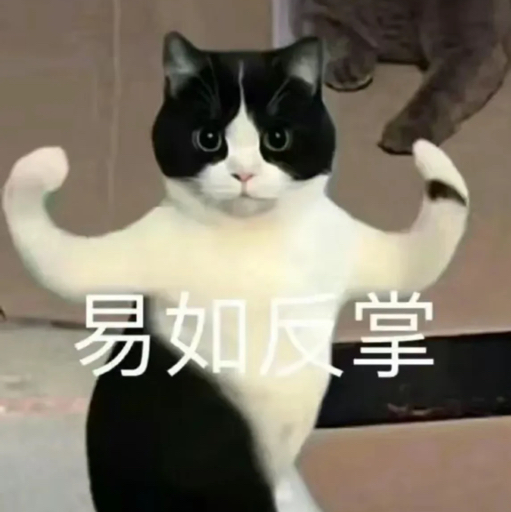 就是Lydia 