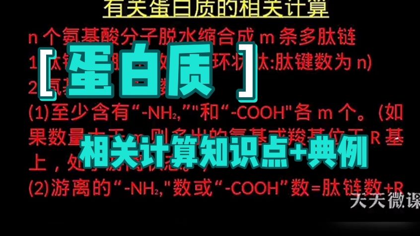 蛋白质相关计算知识点+典例分析
