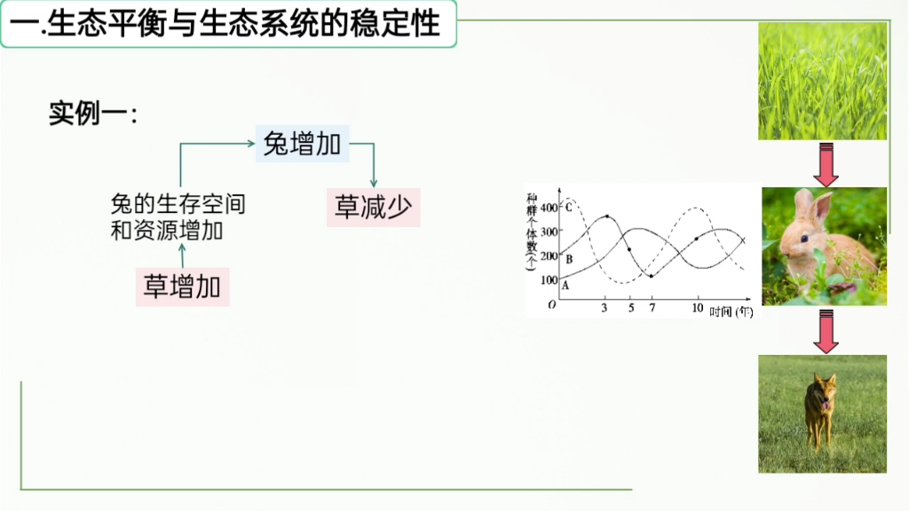生物选择性必修二生态系统的稳定性课件
