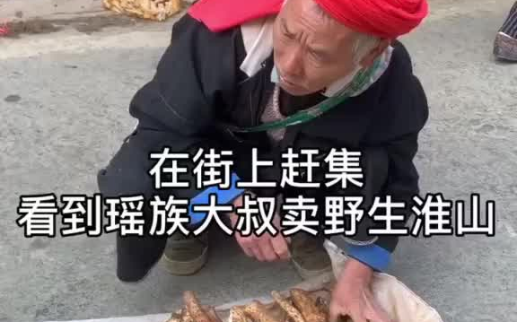 野生淮山,营养价值非常高,打挖的时候也非常的困难