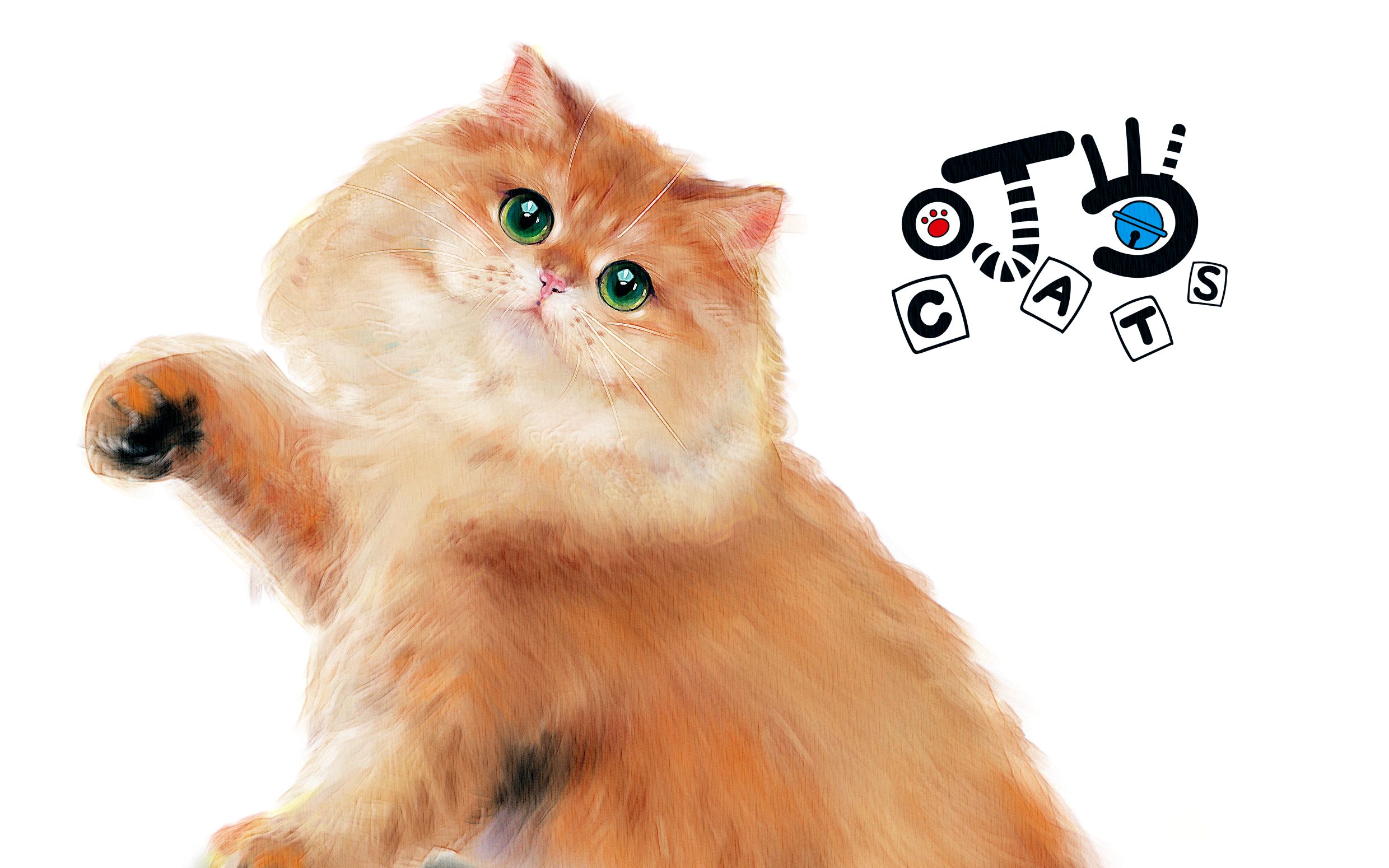 如何画一只毛茸茸的猫咪