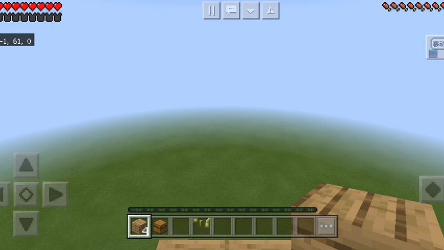 我的世界,单方块生存一