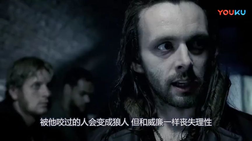 狼族,血族,人类的种族大战,黑夜传说1