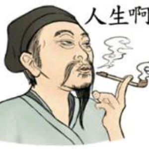 撸鸭道人 
