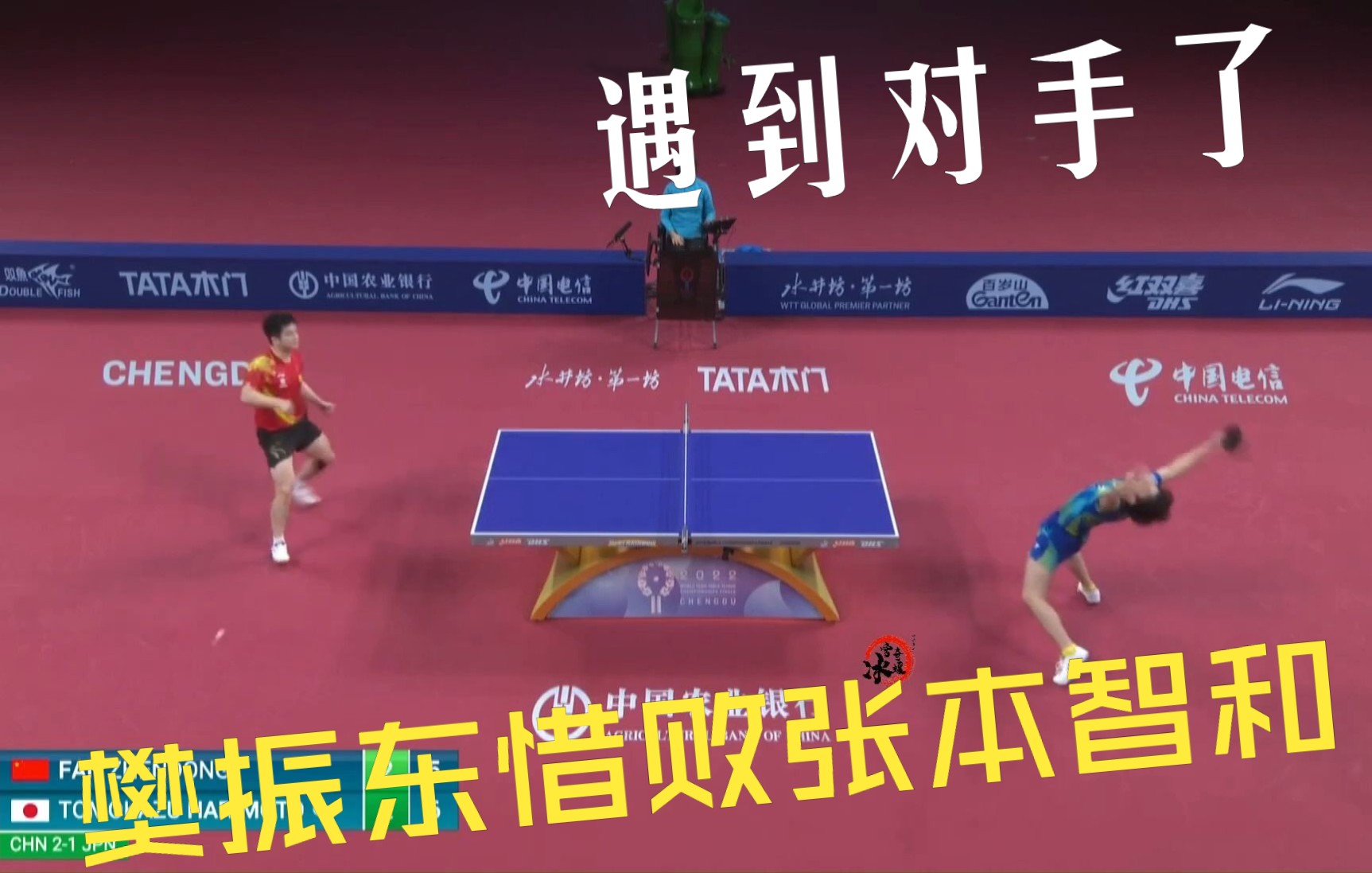 樊振东2比3不敌张本智和,小胖遇到对手了