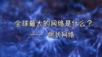 地球上最早的网络出现在几亿年前,它规模庞大,改造了地球和生命