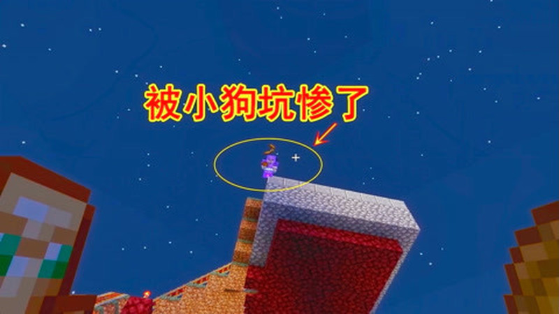 我的世界1.16联机119:小狗到迪哥家帮忙打袭击,我却被他坑惨了