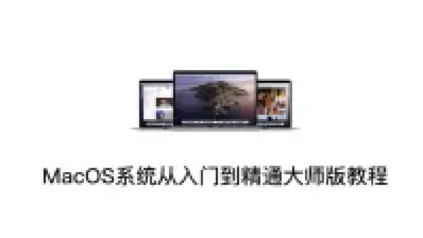 Mac电脑新手入门教程——4.Mac电脑Magic Mouse鼠标与普通鼠标的...