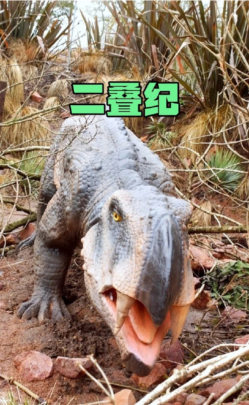 二叠纪生命演化,节肢动物称霸地球,鱼类上岸两栖类动物大爆发!