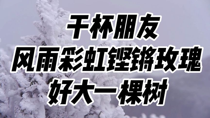 田震经典歌曲《干杯朋友》《好大一棵树》经典永不褪色