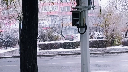 【2022初雪】真是低估了东北的雪/我以为小雪而已不用打伞结果它...
