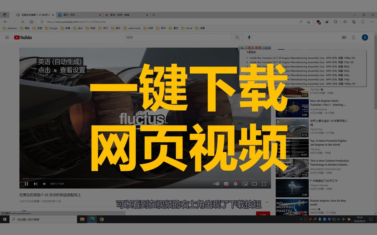 【子权的小知识】一键下载网页视频——IDM插件的使用