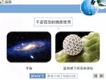 1.1 物质的变化和性质
