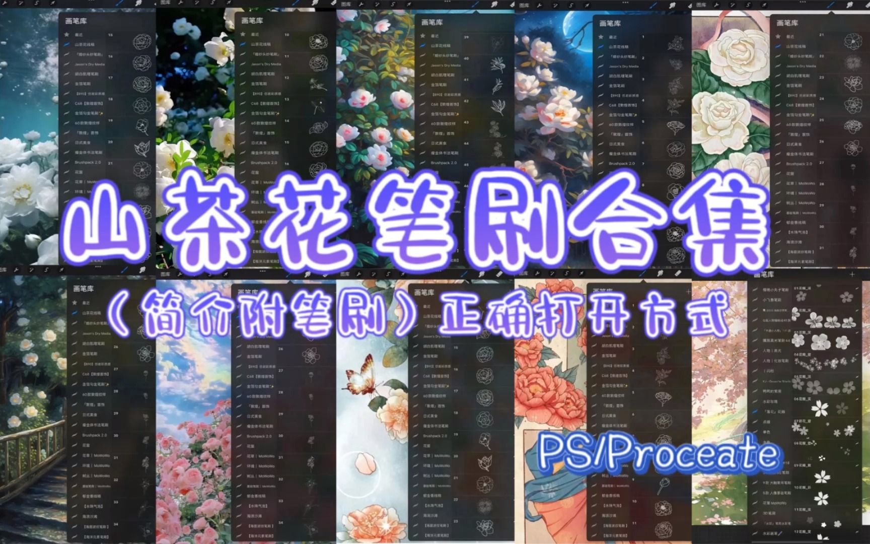 【PS/Proceate山茶花笔刷】上百种爆款PS/Proceate笔刷,插画师必备...