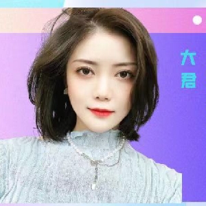 大君加密分析号 