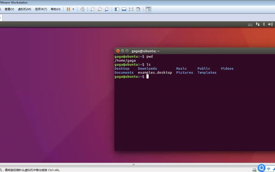 【小白教程】Linux常用命令演示