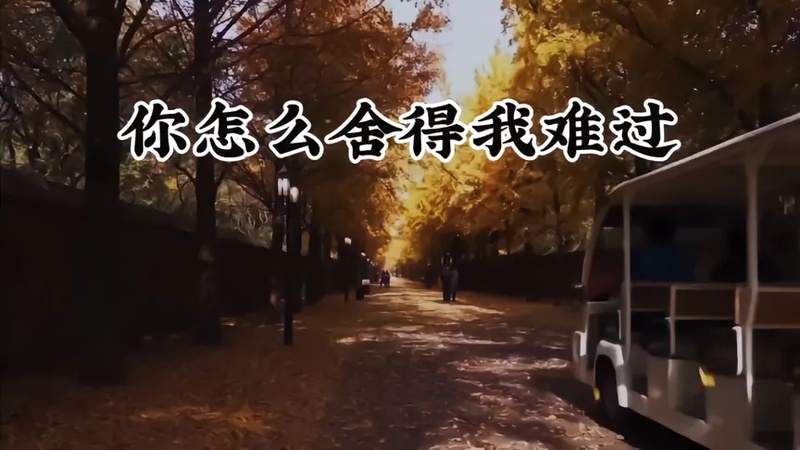 《你怎么舍得我难过》黄品源 完整版