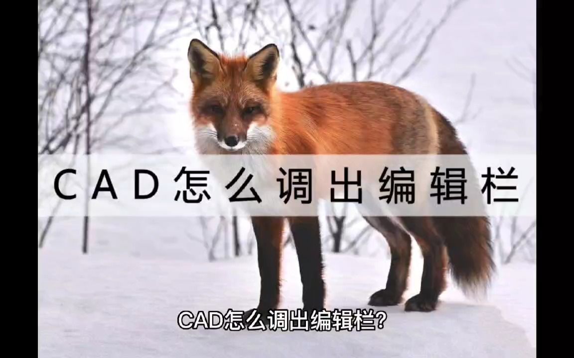 CAD怎么调出编辑栏?试试这个小技巧