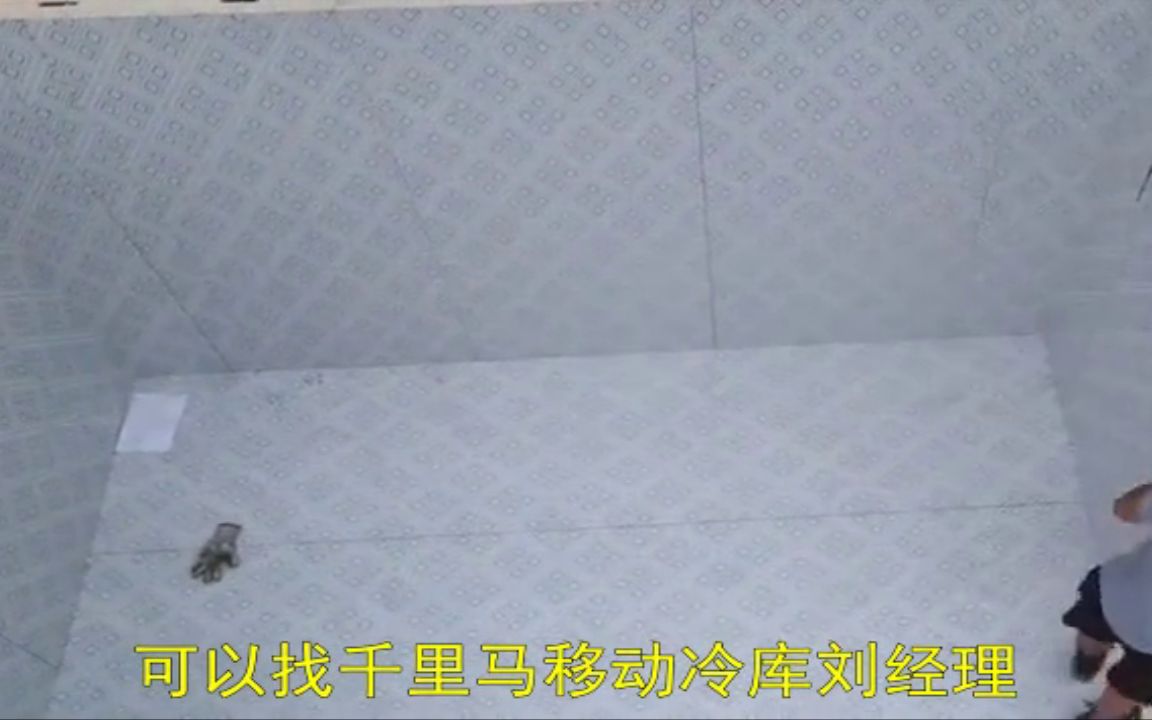 ...库单价-大蒜冷库定做厂占地面积除霜-凤泉区花椒220伏移动冷库概算