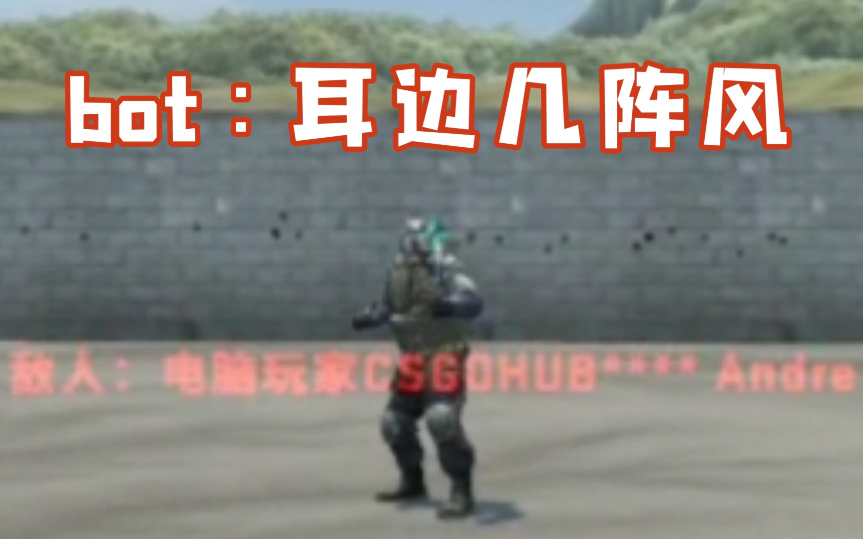 【CSGO】很卡,很马,别骂(daily练枪)