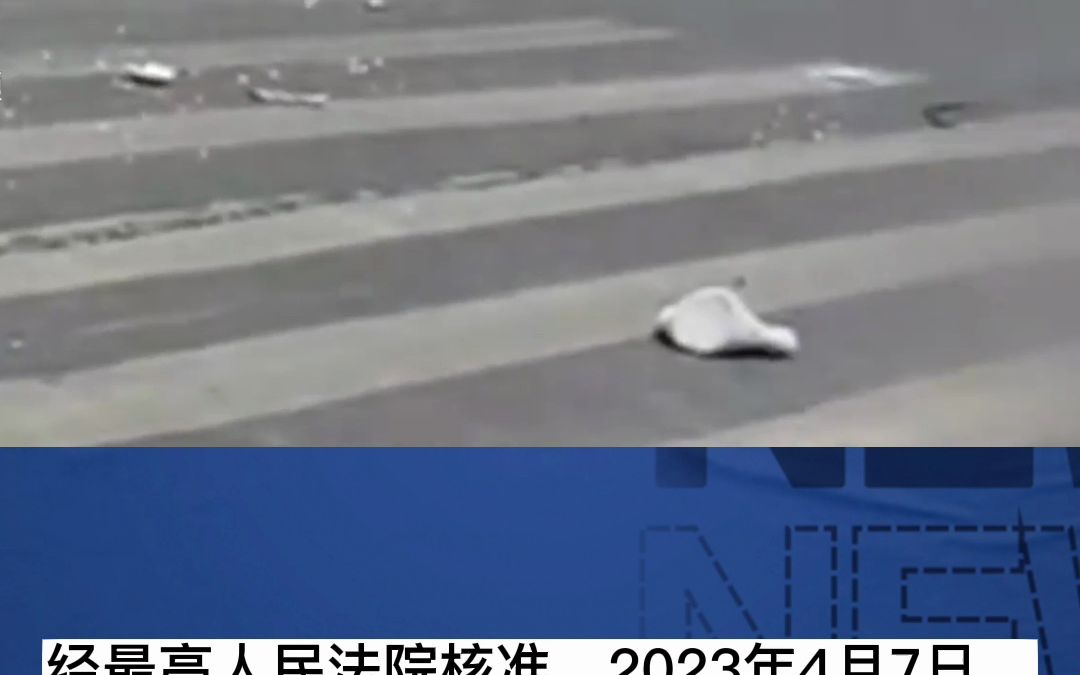 大连“宝马撞人案”刘东执行死刑