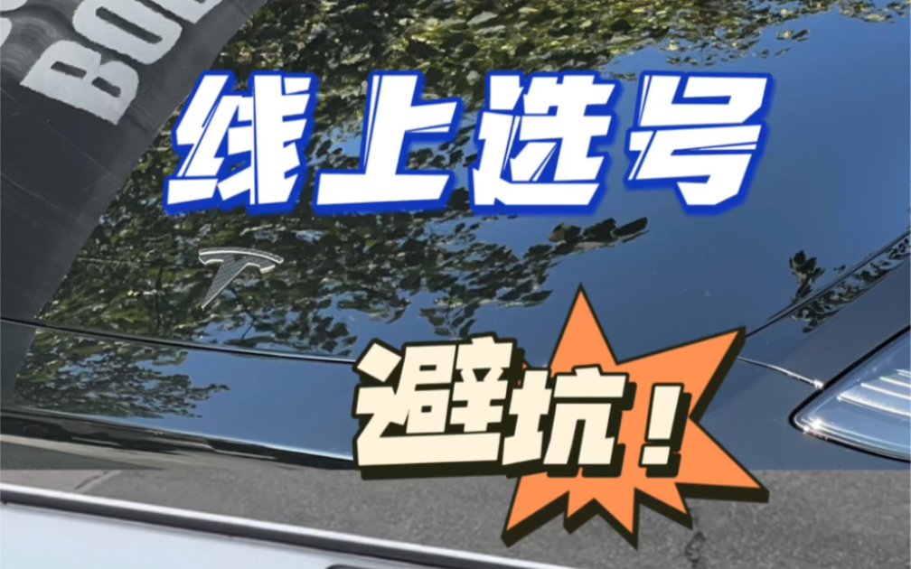 新能源线上选号避坑!到底是先随机还是先自编!特斯拉选号