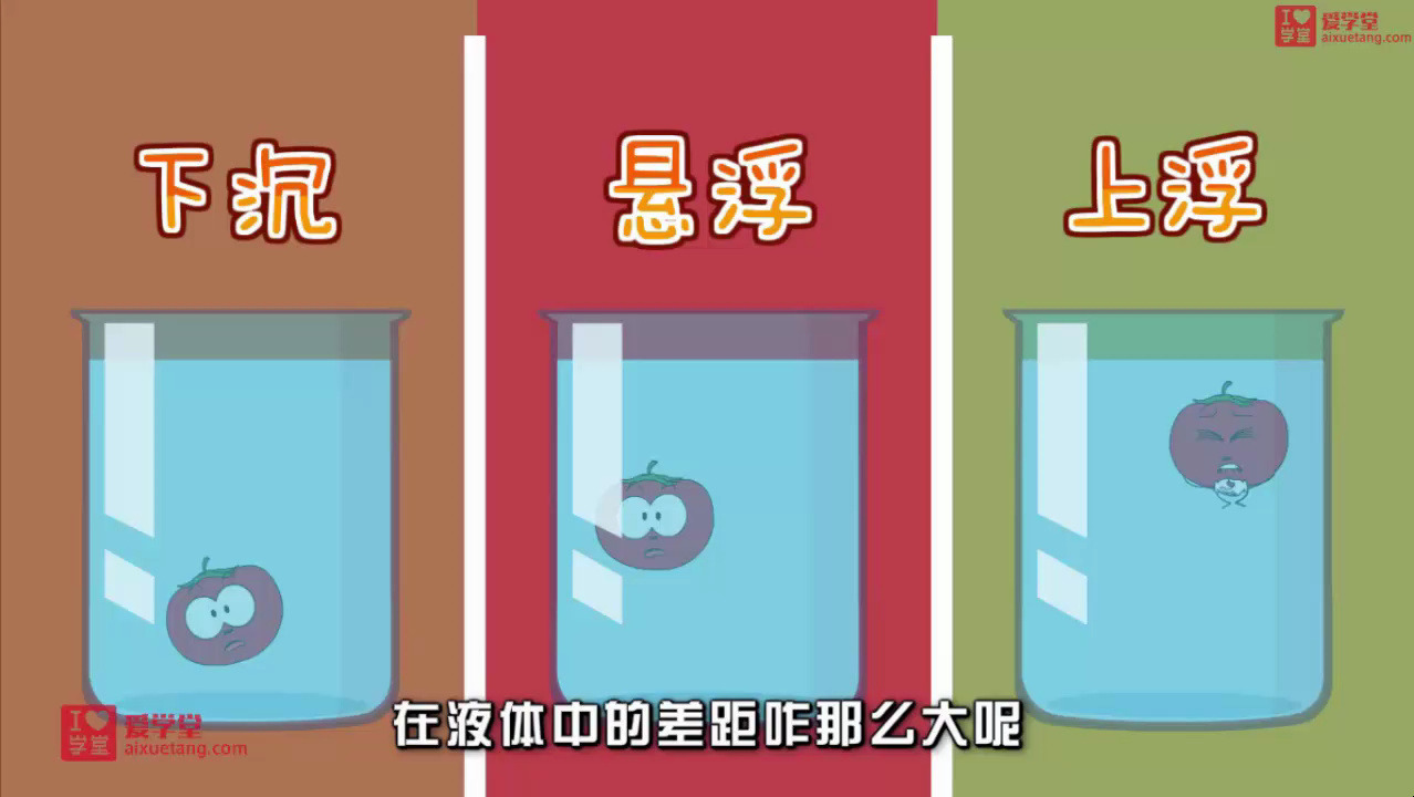 15物体的沉浮条件 【】