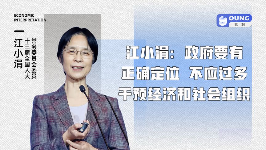 江小涓:政府要有正确定位,不应过多干预经济和社会组织
