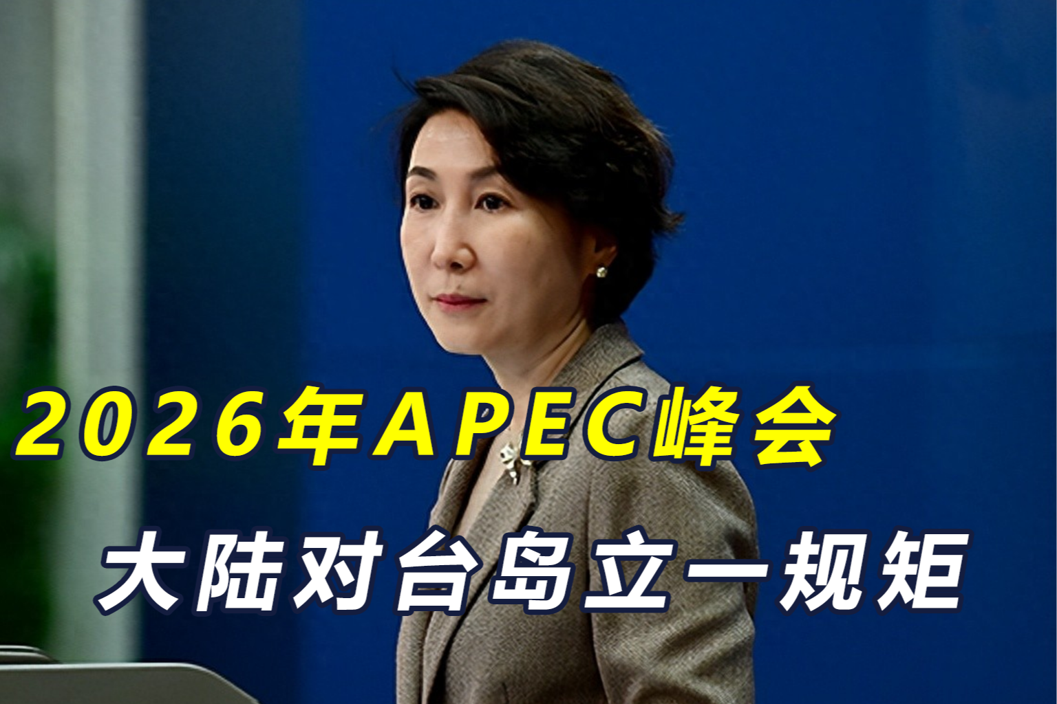 大陆对台再立新规,明年APEC峰会,想来须承认一件事