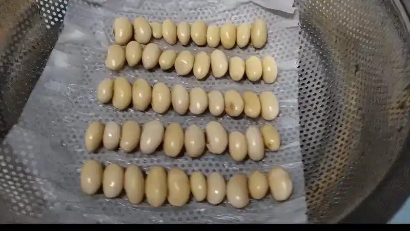 五十粒非转基因老黄豆 五天的发芽率,最后黄豆芽和市场卖的不一样