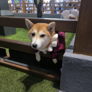 可以不动吗 