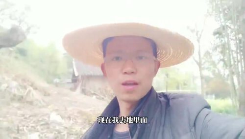 恩施富硒茶凭什么这么贵?小伙直击茶山,揭秘天价背后的采摘真相!