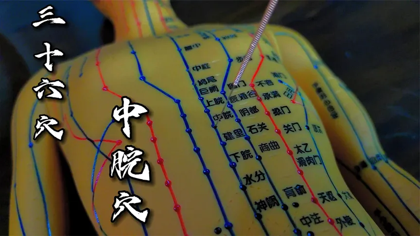 三十六穴--中脘穴解说