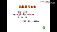第一小组生命活动的承担者蛋白质之氨基酸的基本结构