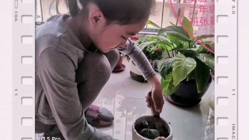 新乐市实验学校开展“爱绿护绿”活动