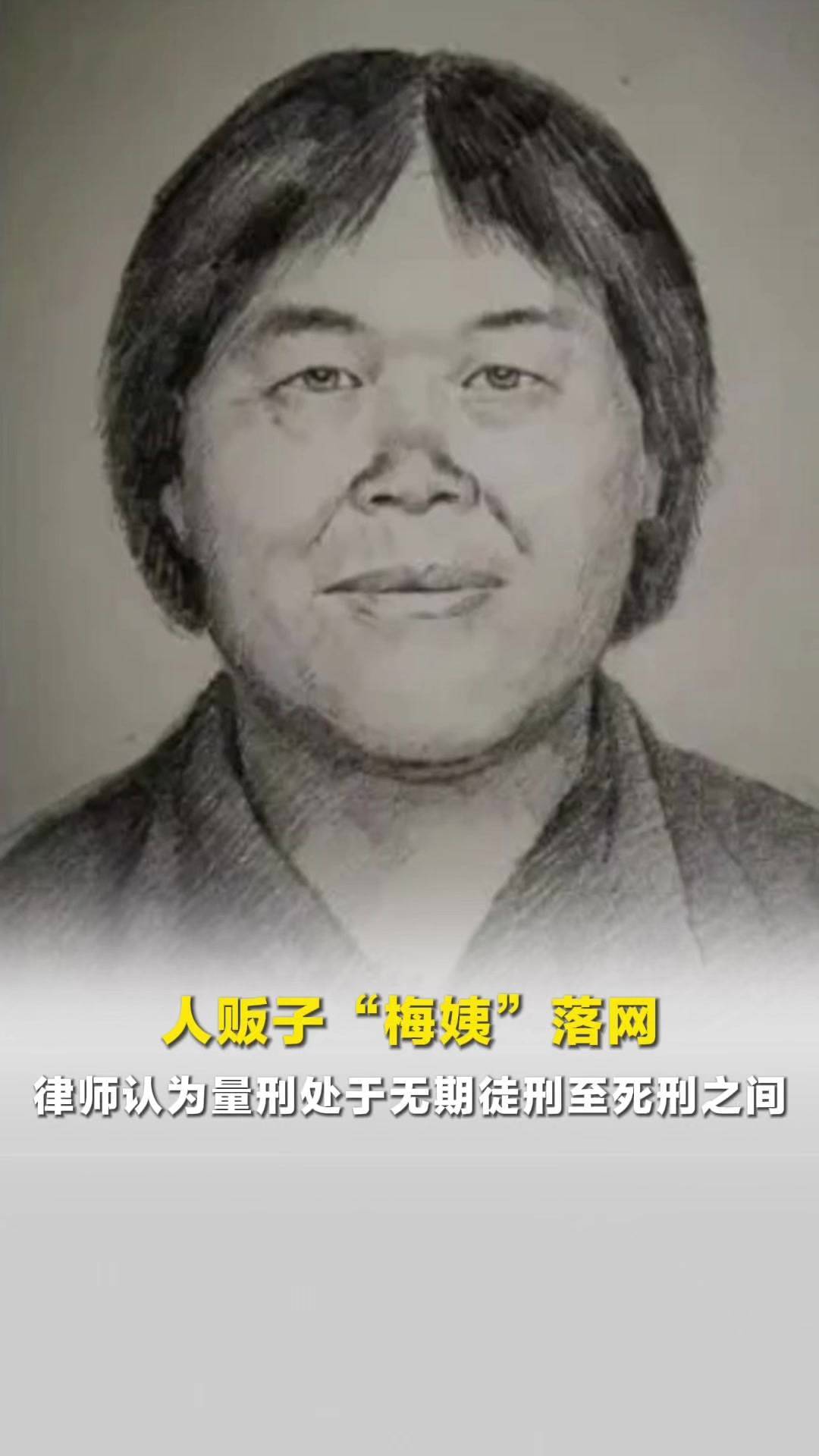 人贩子"梅姨"落网,律师:量刑大概率处于无期徒刑至死刑区间
