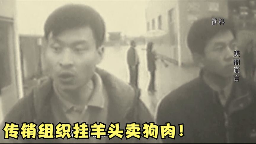 法治天下:新型传销案件!传销组织挂羊头卖狗肉,还玩金字塔模式