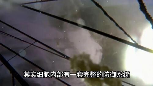 肺炎病毒入侵人体细胞,细胞是如何为你而战的?过程堪称科幻大片