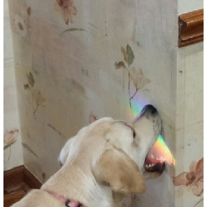 半半半泽君 