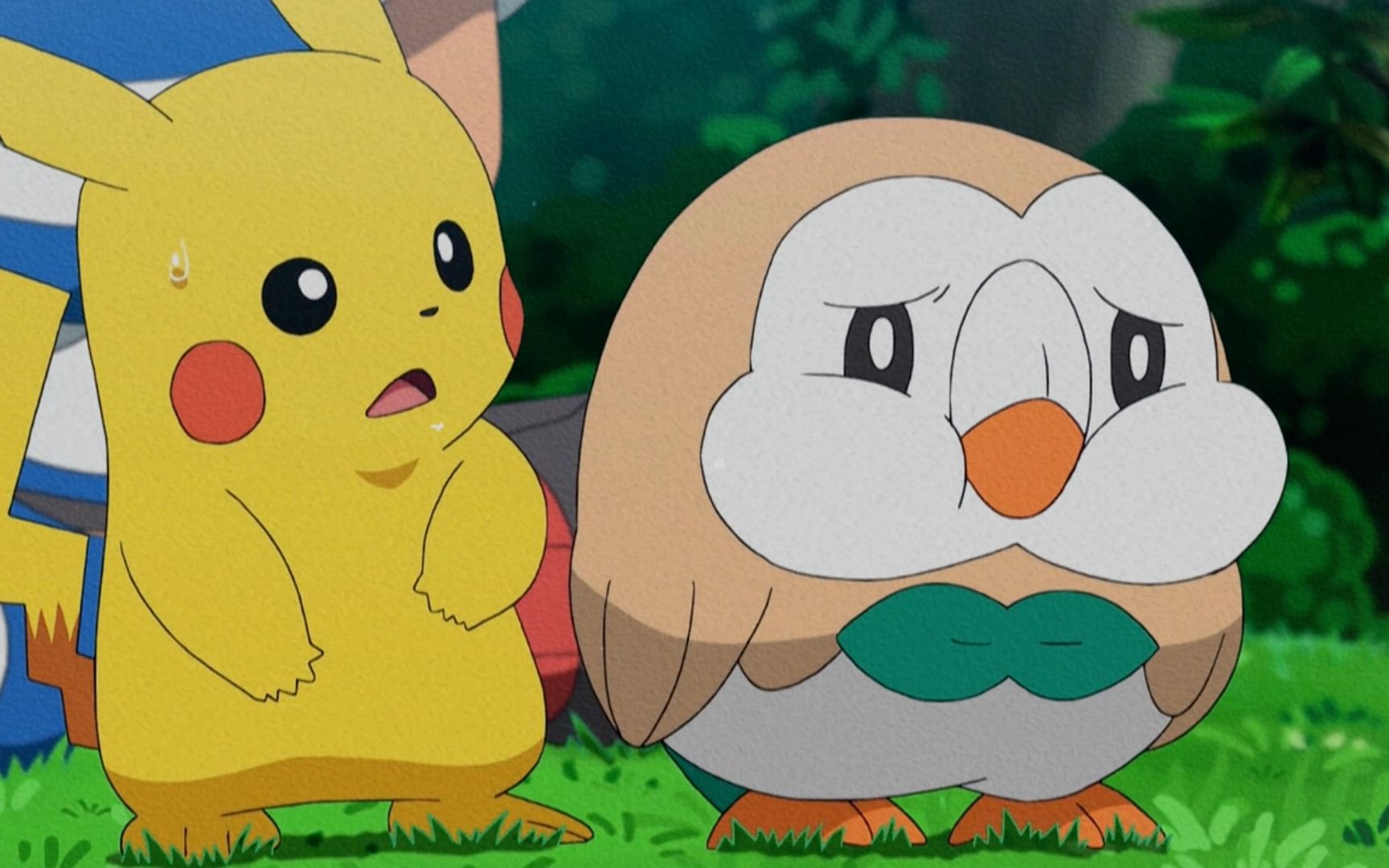 【宝可梦】谁能拒绝一只爱睡觉的木木枭呢