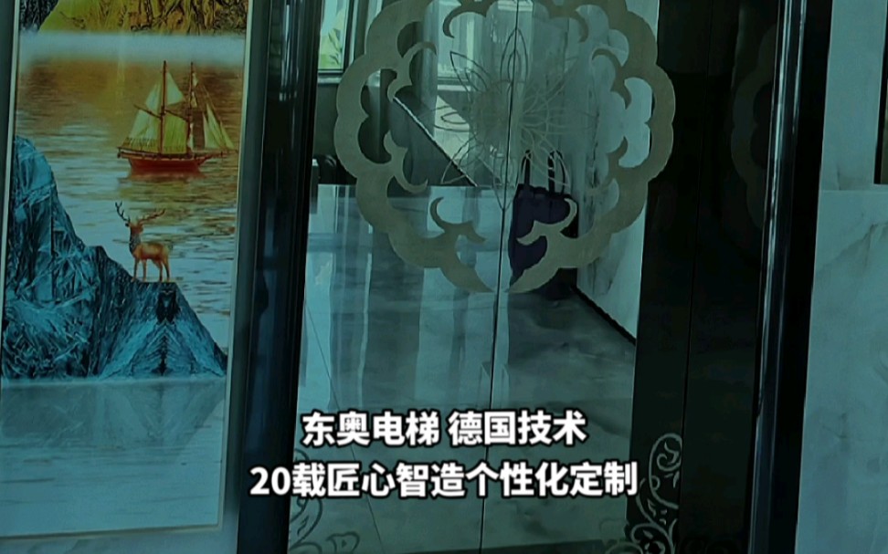 别墅电梯多少钱,别墅电梯贵不贵,别墅电梯井道预留多大,别墅电梯报价