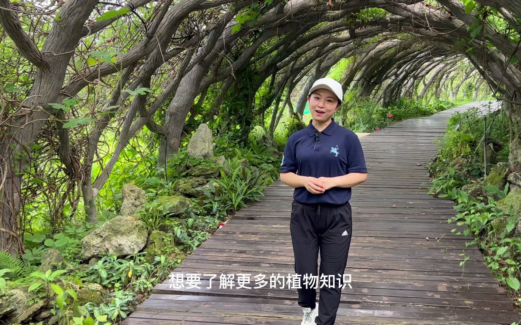 “植物的根”科普视频