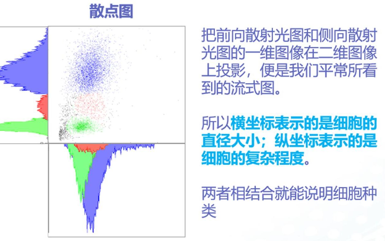 ...流式细胞术检测慢性束缚应激之后的小胶质细胞不同亚型的吞噬功能