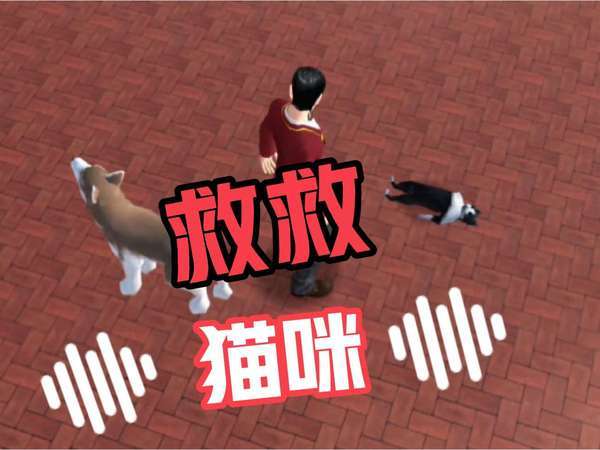 《救救猫咪》 电脑版 用电脑刷有多爽 樱花校园模拟器