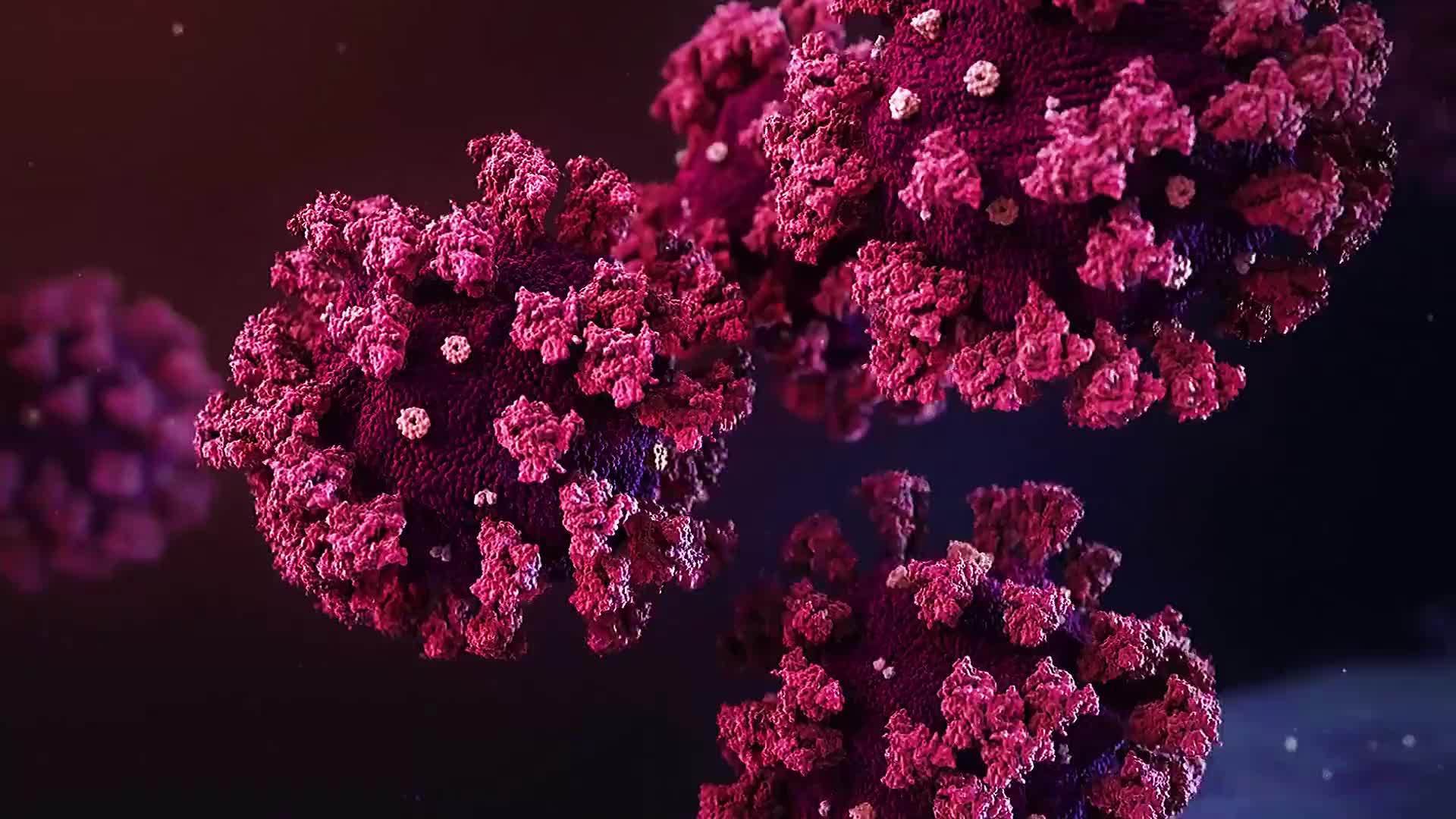 你以为新冠病毒很厉害?盘点世界上最可怕的八大病毒!