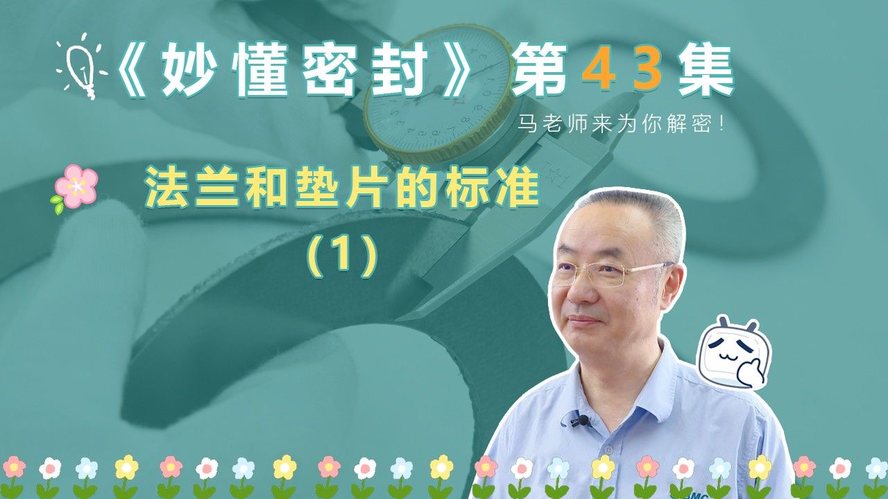 妙懂密封第43集:法兰和垫片的标准1