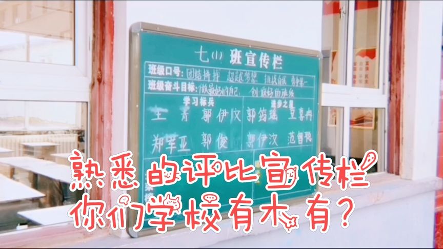【中考出成绩】熟悉的评比宣传栏,你们学校有木有?